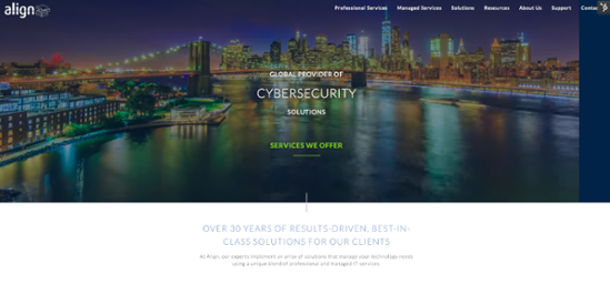 20 IT Website Examples That Totally Crush It