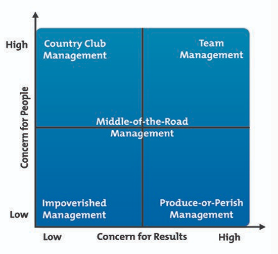 Blog | A Guide to Leadership Style (and How to Find Your Own)