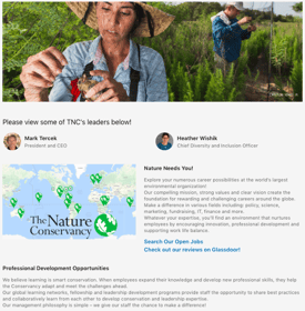 Blog | The 5 Best LinkedIn Company Pages in 2021