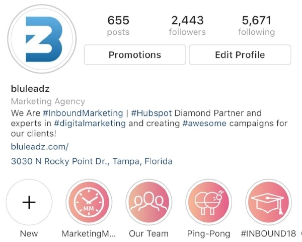 How to Develop an Effective Instagram Marketing Strategy | Bluleadz