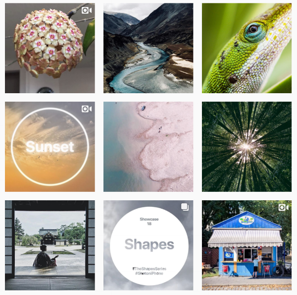 Blog | 7 Elements B2B Companies Are Mastering On Their Instagram Feed