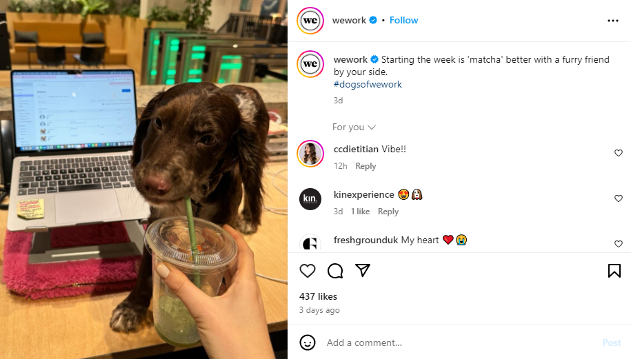 Blog | How to Write Social Media Captions to Drive Engagement