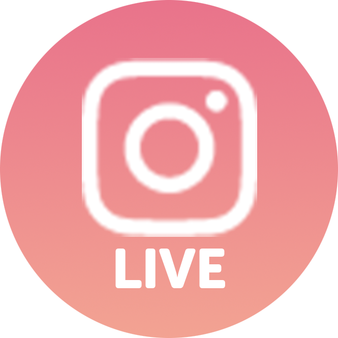 How to Develop an Effective Instagram Marketing Strategy | Bluleadz