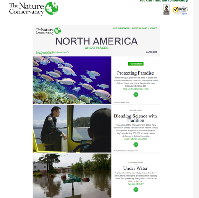 Blog | 5 of the Best Newsletter Examples (+ 15 Tips)